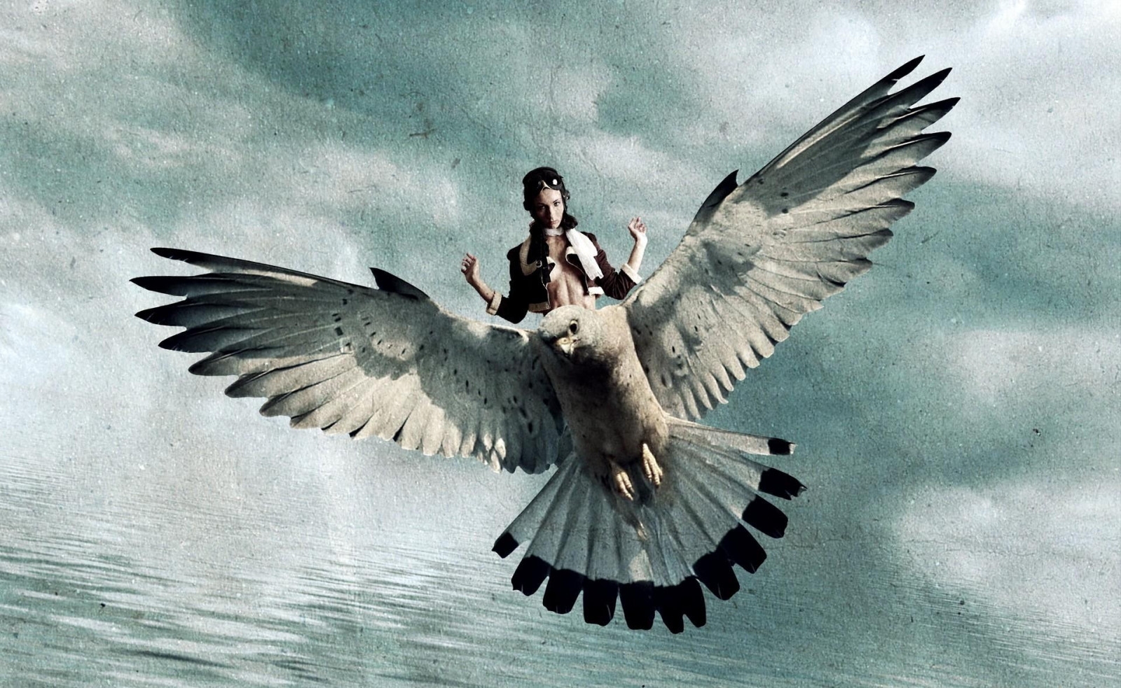 Wallpaper : bird, girl, Fly, wings 1920x1180 - wallhaven - 1059639 - HD ...