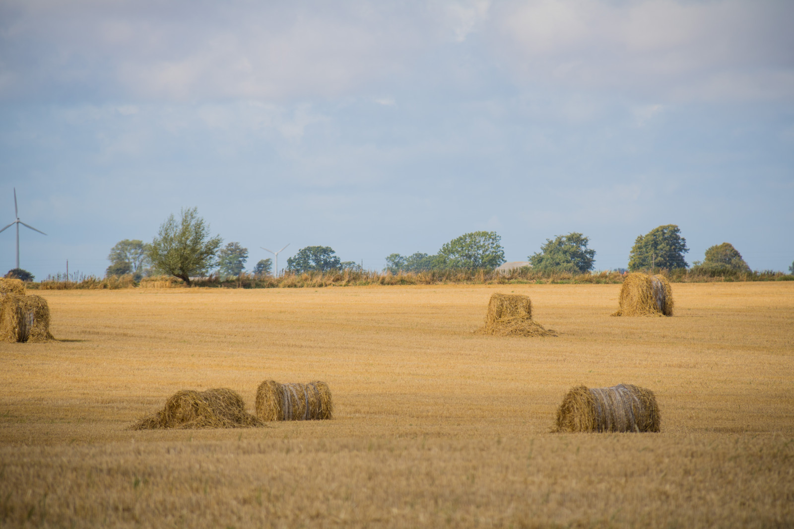 Tapety : krajina, jídlo, pole, hospodařit, seno, step, sklizeň, lučina ...