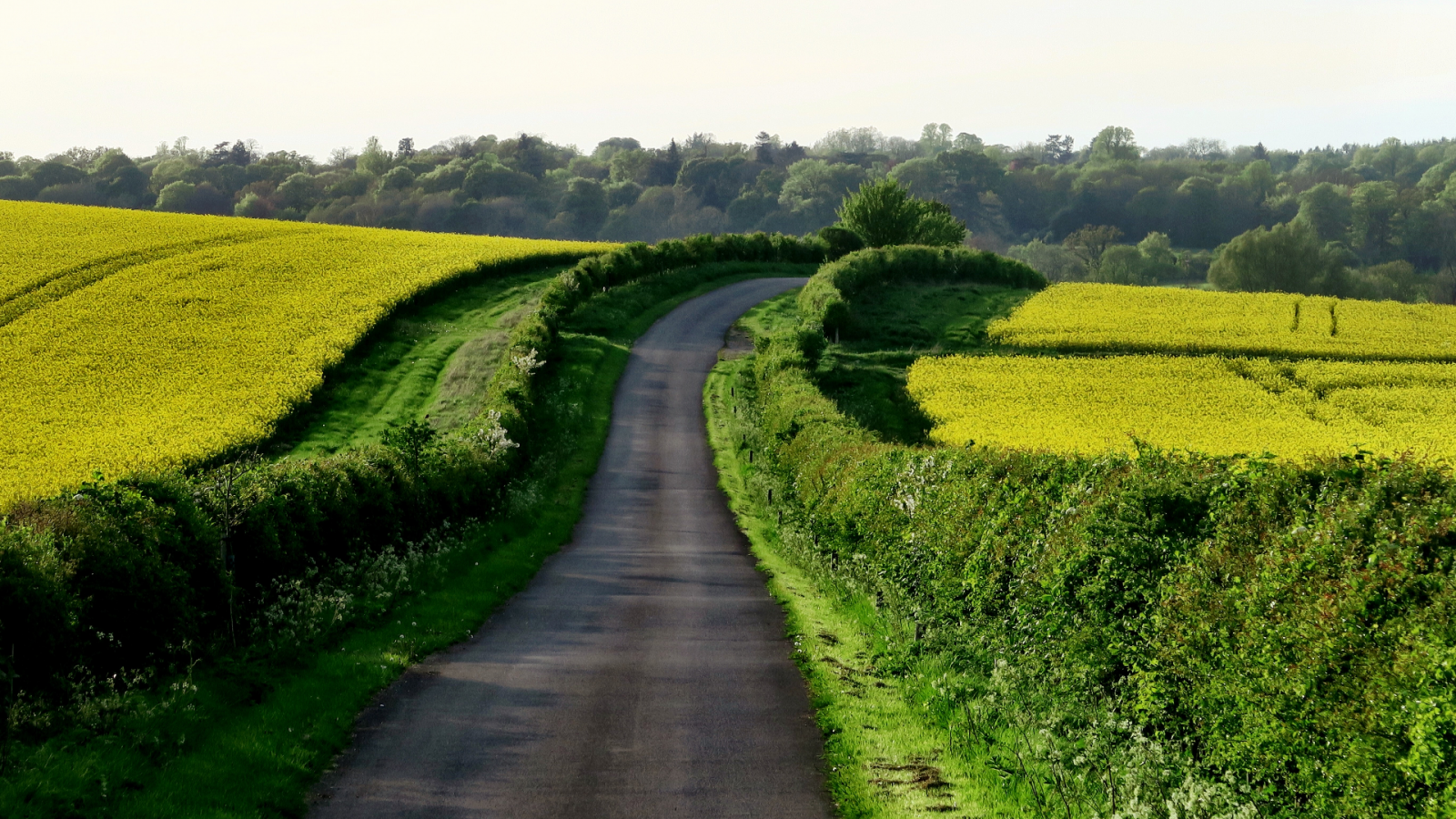 Wallpaper : nature, landscape, trees, farm, field, grass, sky, plants ...