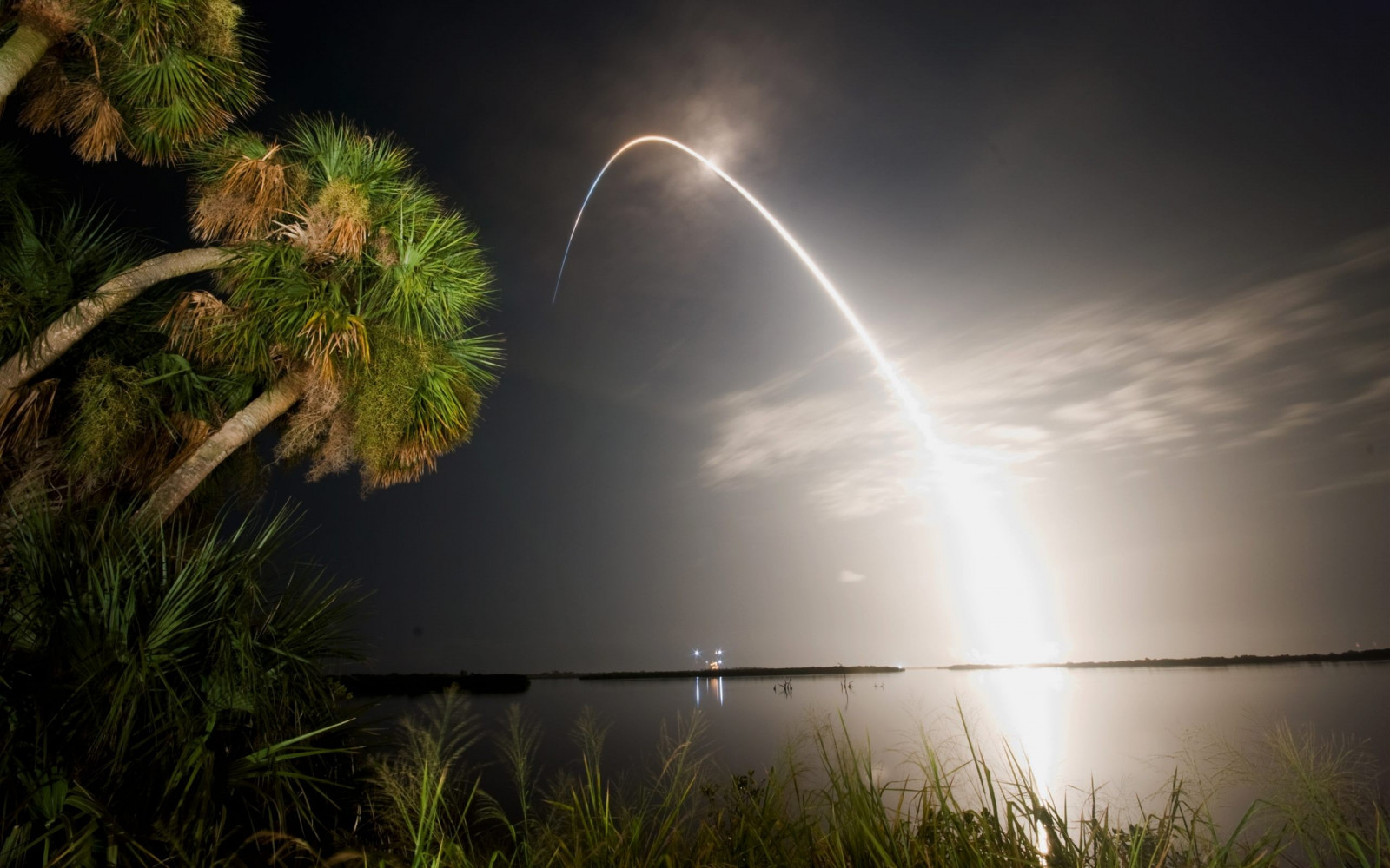 Wallpaper : light, beam, night, grass 2560x1600 - wallhaven - 1026034 ...