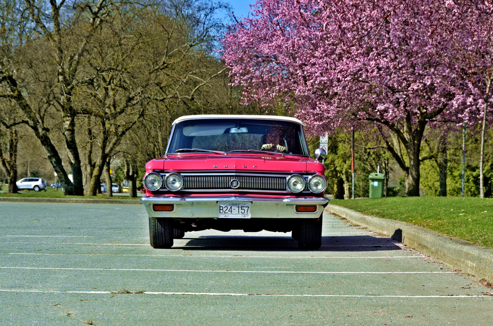 Wallpaper : landscape, Buick, blossom, pink, Vintage car, Vancouver ...
