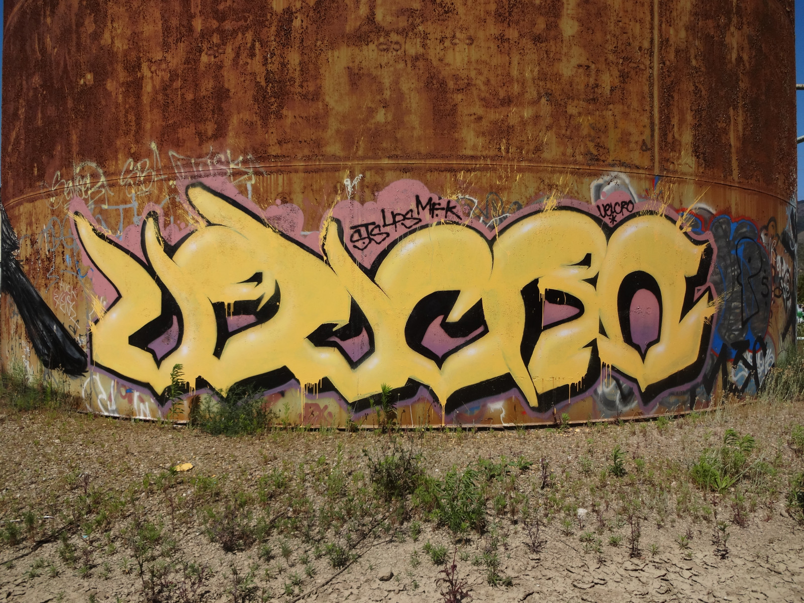 Wallpaper : grass, wall, yellow, graffiti, street art, ART, area, mfk ...