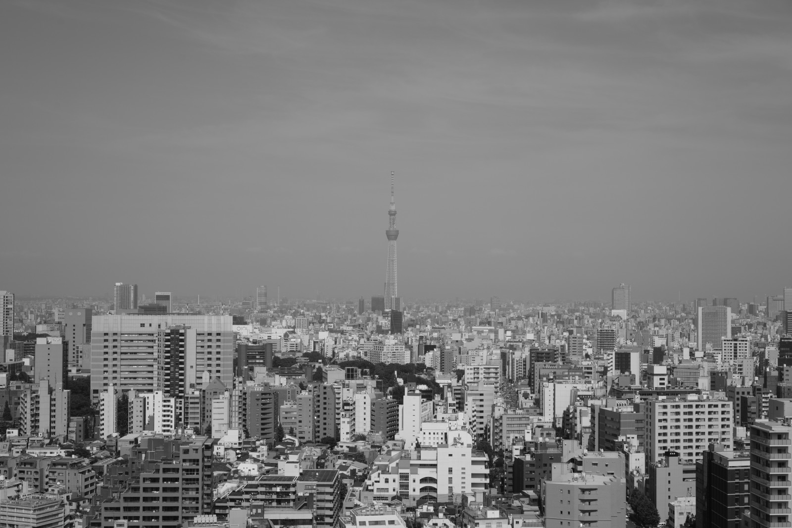 Wallpaper : city, cityscape, skyline, skyscraper, horizon, Sony ...