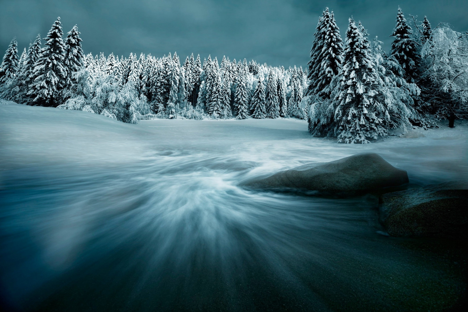 Wallpaper Sunlight Trees Landscape Forest Nature Reflection
