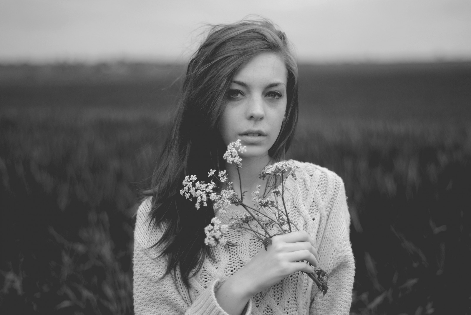 Imagini de fundal : flori, alb, negru, camp 3872x2592 - - 956693 ...