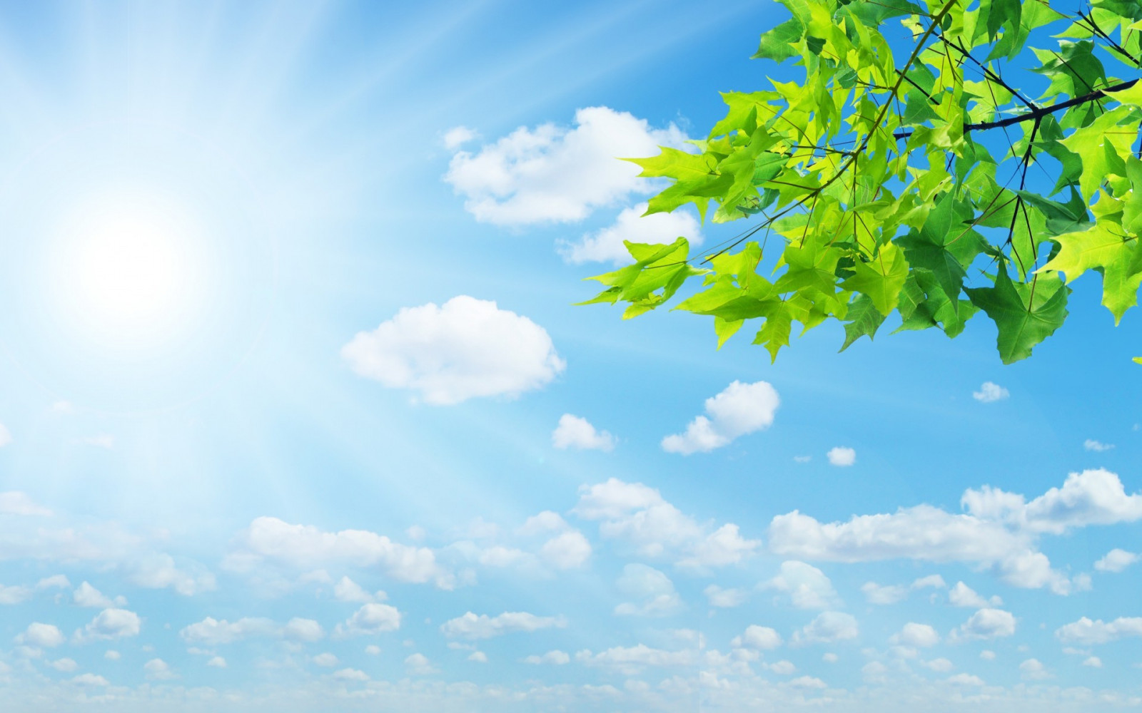 Wallpaper : 1920x1200 px, nature, sunlight 1920x1200 - - 1091732 - HD ...