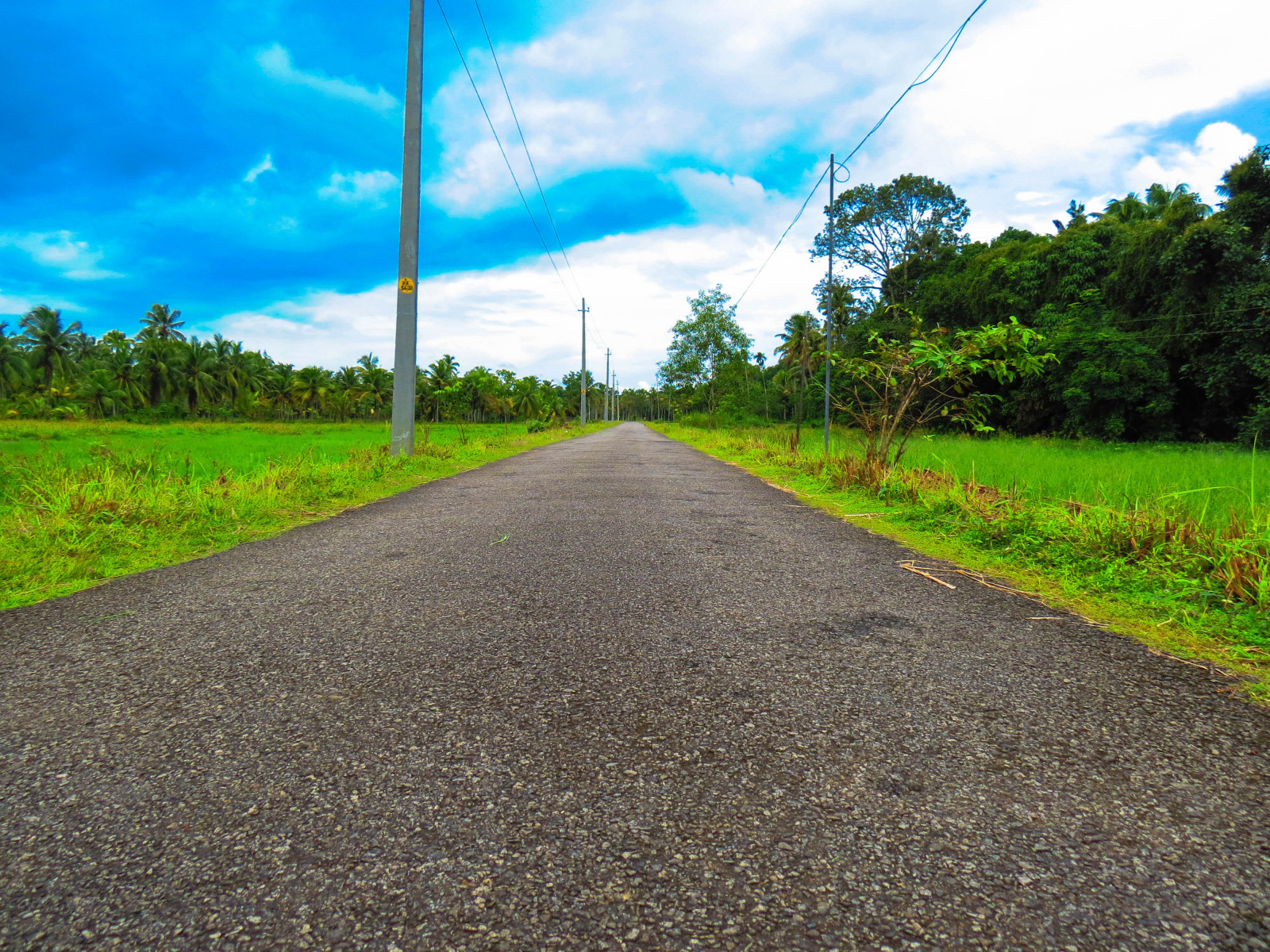 Wallpaper : landscape, hill, nature, grass, field, dirt road, asphalt ...