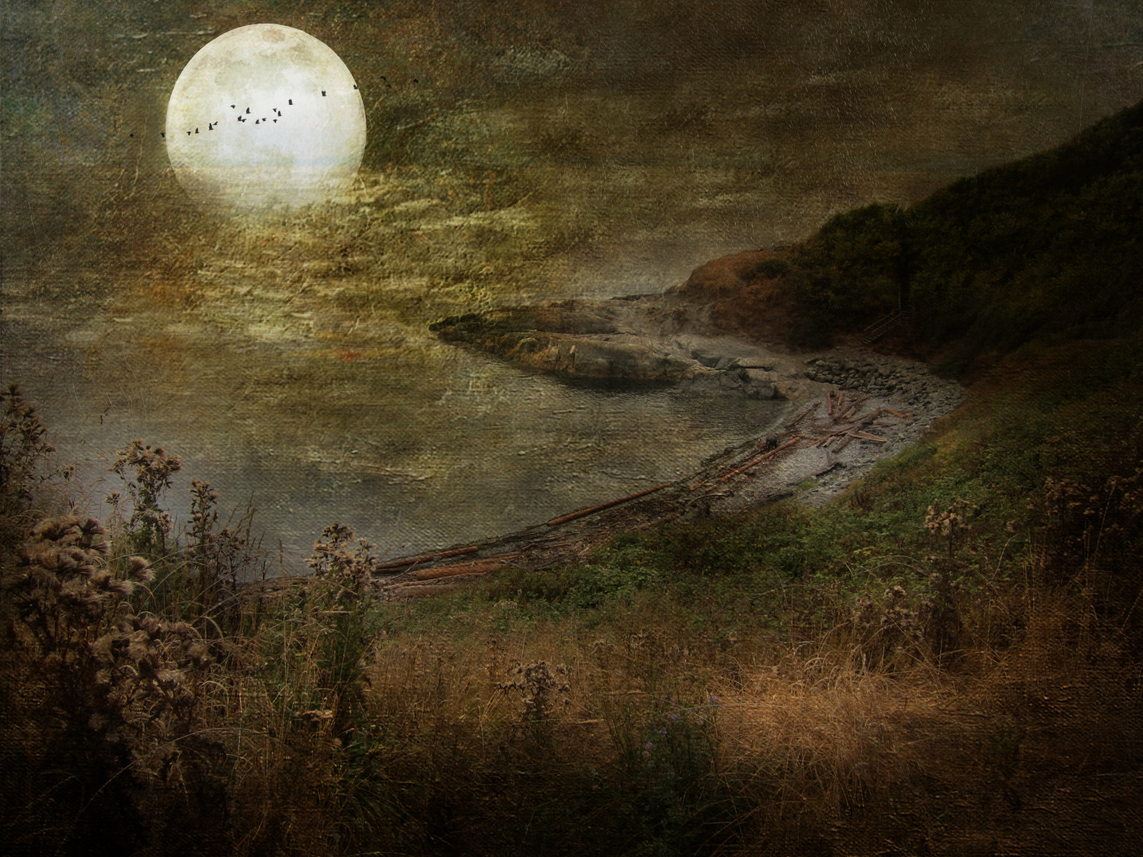 Imagini de fundal : lumina soarelui, noapte, stâncă, reflecţie, Lună ...