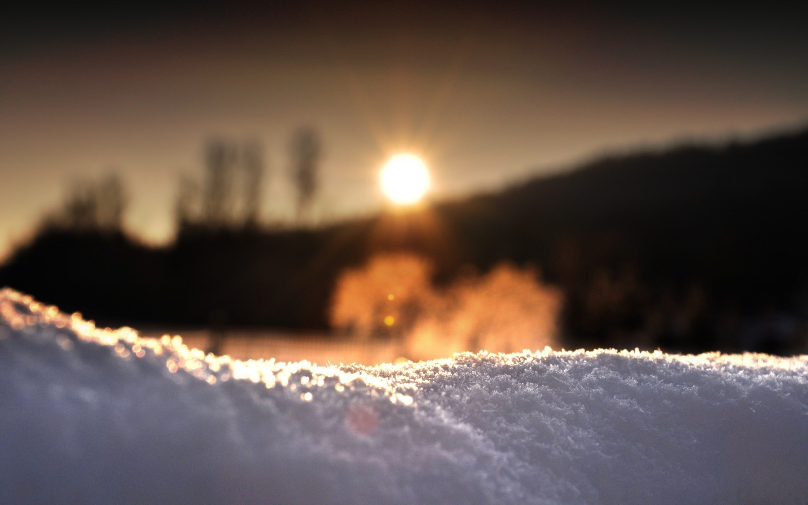 Wallpaper : snow, Sun, grains, macro, decline 2560x1600 - wallhaven ...