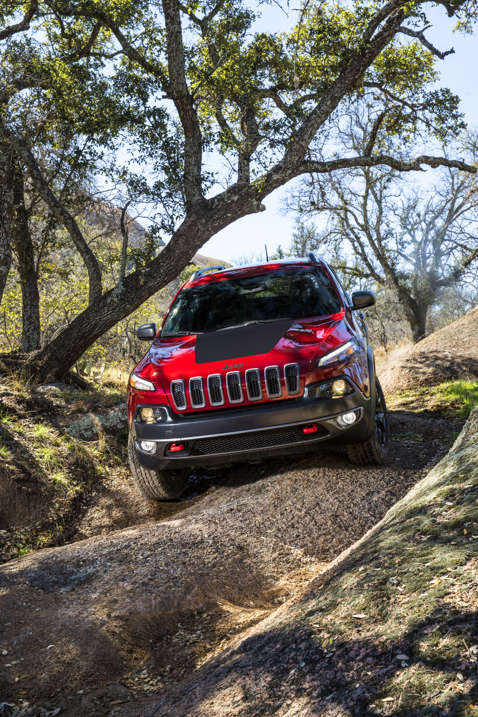 Wallpaper : sports, vehicle, Jeep, netcarshow, netcar, car images, car ...