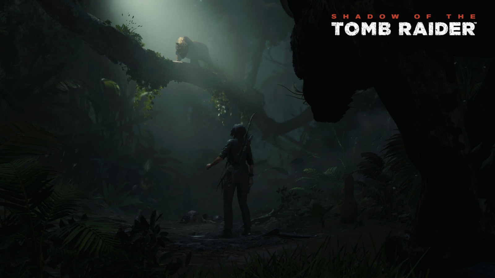 Obrázky na plochu : Shadow of the Tomb Raider, Lara Croft 1920x1080 ...