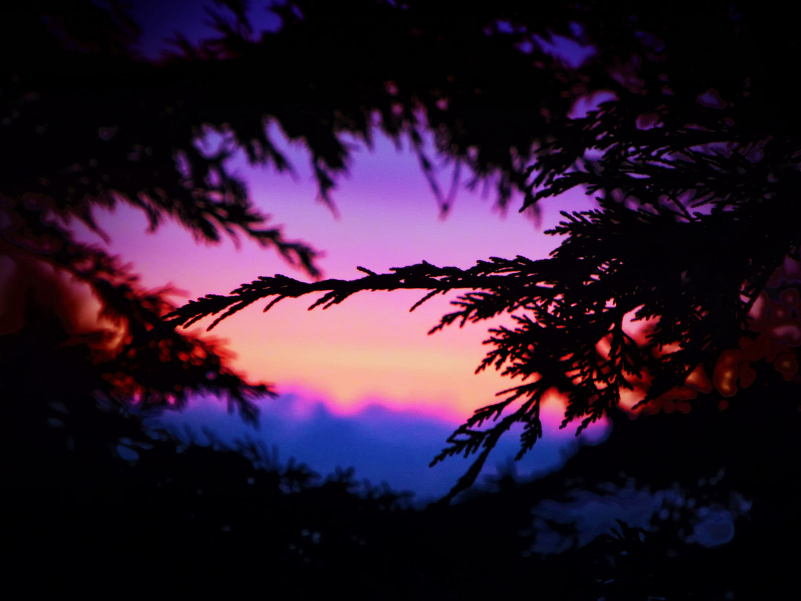 Wallpaper : sunlight, sunset, night, sky, purple, sunrise, blue ...