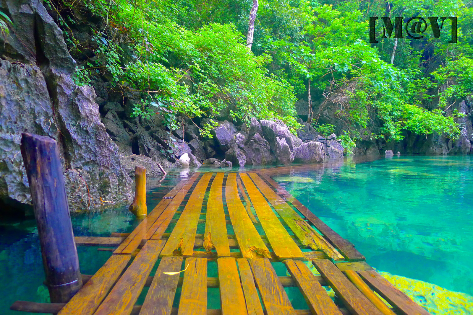 Obrázky na plochu : stromy, krajina, les, jazero, voda, príroda, odraz ...