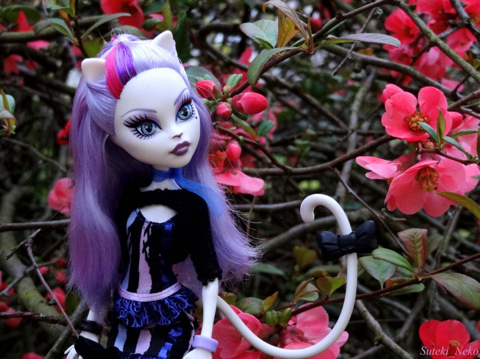 배경 화면 : 꽃들, 정원, 리본, 장난감, 담홍색, 봄, 인형, 집 밖의, 꽃 피는 식물, 몬스터 하이, 비웃는 사람, 비열한 ...