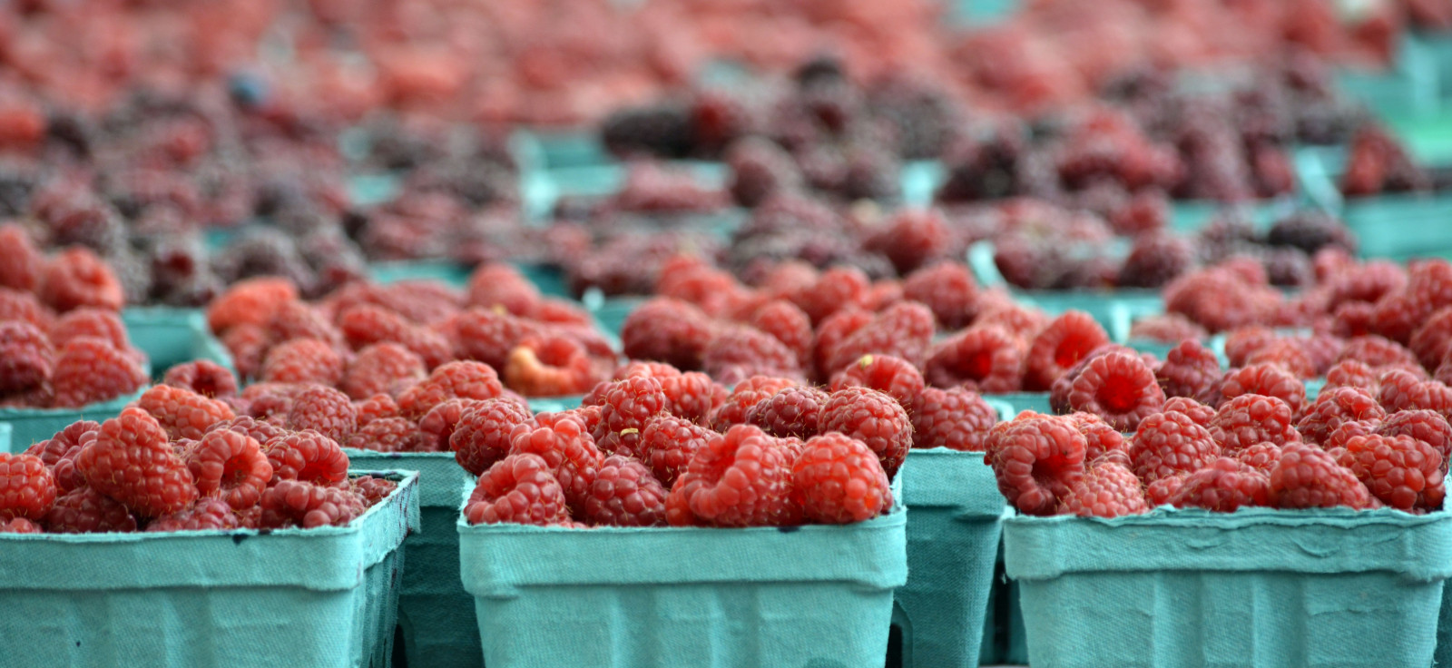 Wallpaper : fruit, strawberries, farm, raspberries, market, berry ...