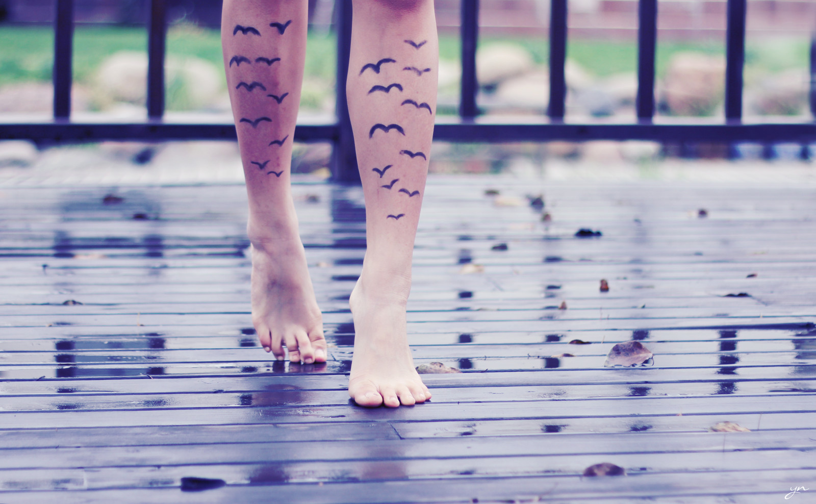 Wallpaper : sports, white, birds, water, barefoot, blue, flying, feet ...