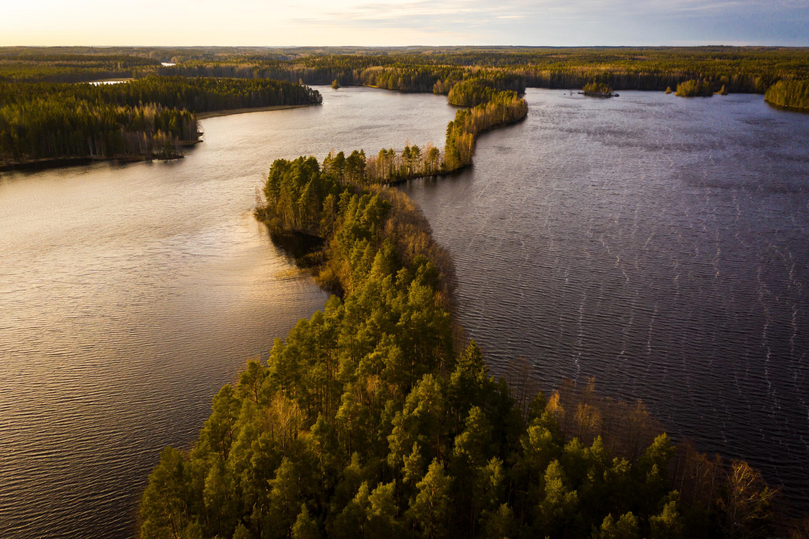 Fond d'écran : plante, ressources en eau, Écorégion, ciel ...