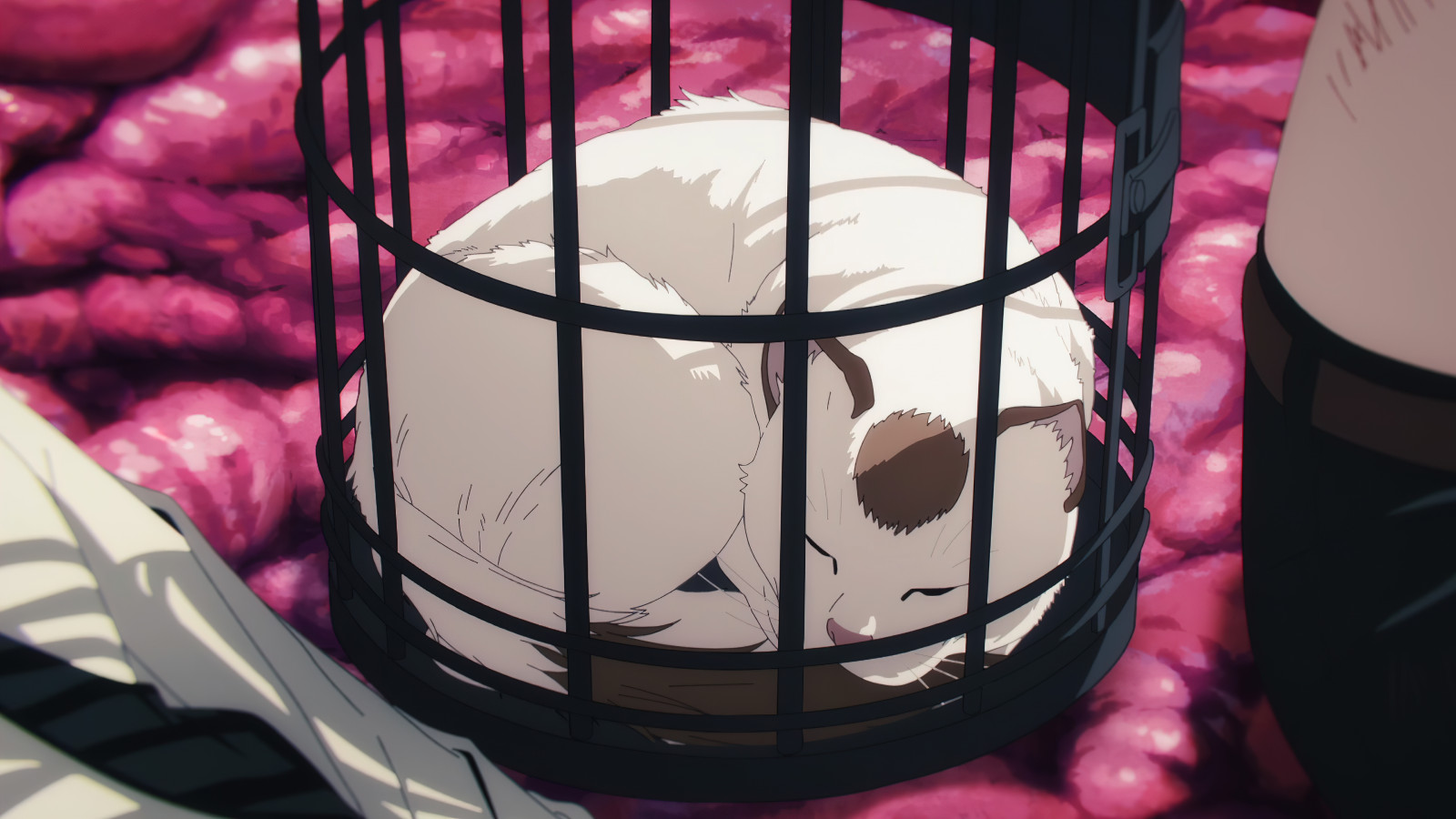 Wallpaper : Chainsaw Man, anime, 4k, Anime screenshot, cats, cages ...