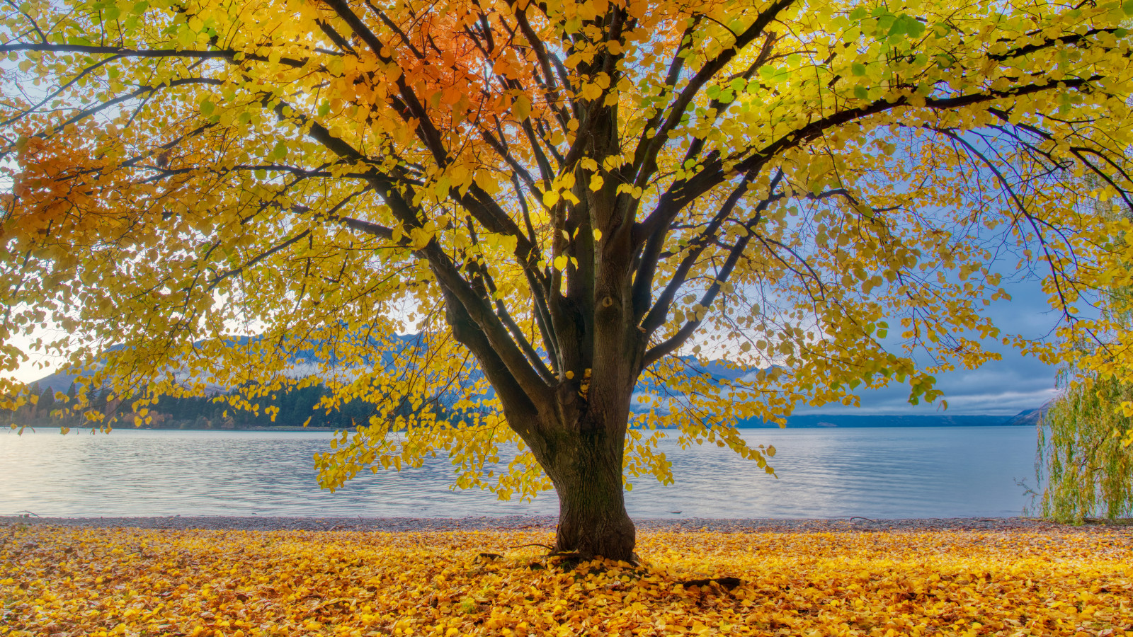 Tapety : krajina, 4k, Nový Zéland 3840x2160 - DarkDoomMan - 2195159 ...