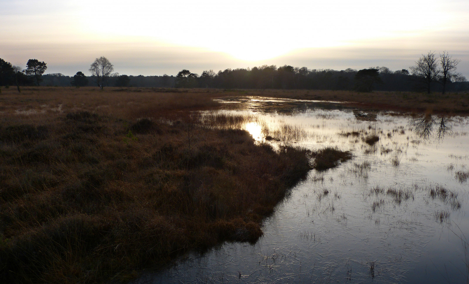 วอลเปเปอร์ : ฤดูหนาว, ฮอลแลนด์, เนเธอร์แลนด์, ธันวาคม, ngc, nederland ...