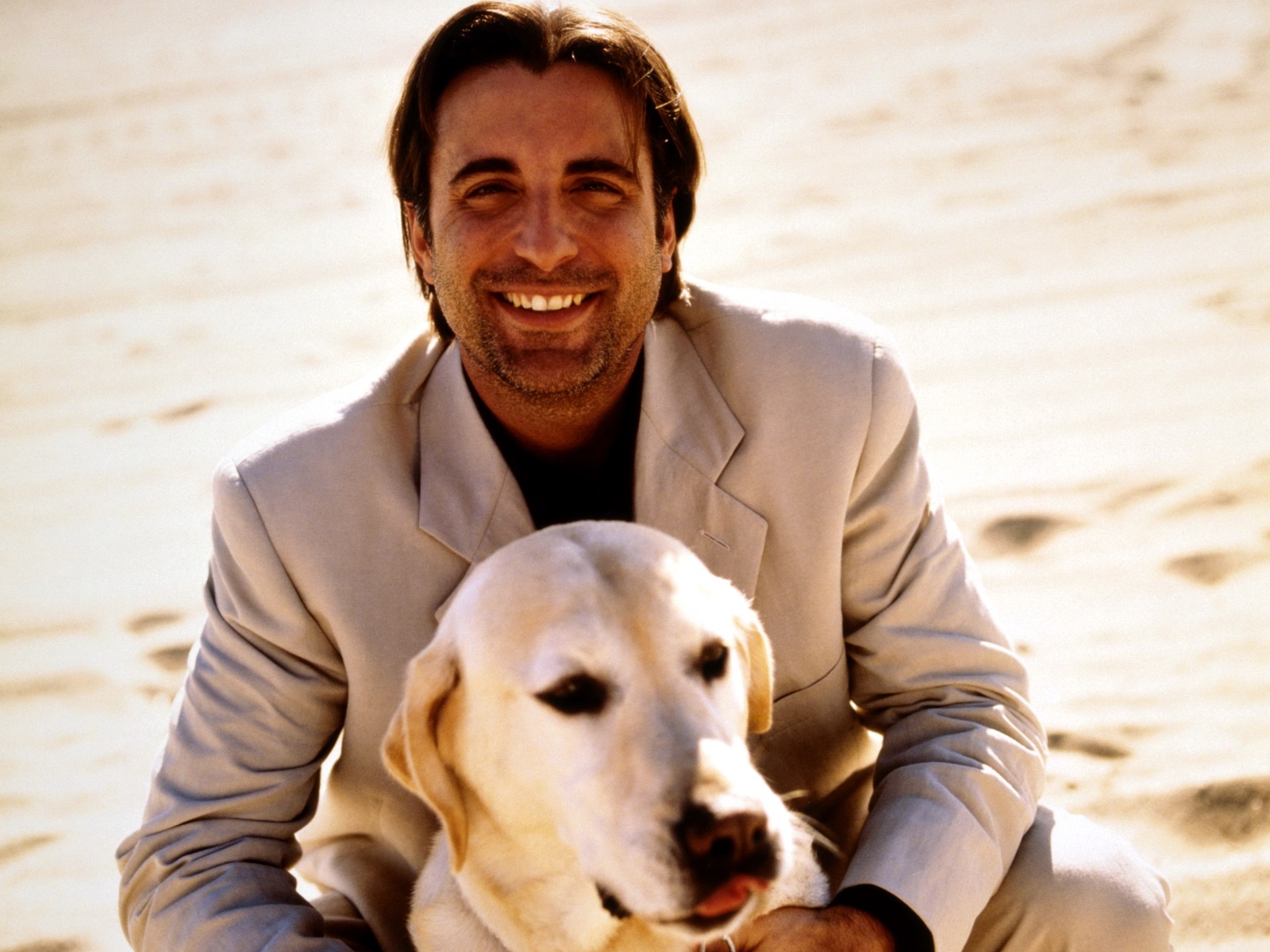 Wallpaper : andy garcia, brown, dog, smile, hair, walk 1600x1200 ...