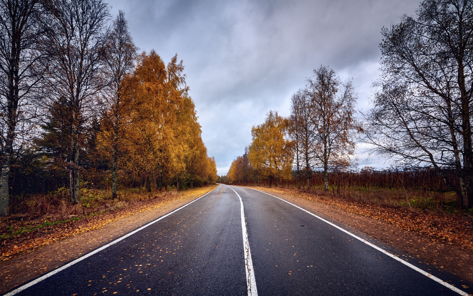 Wallpaper : 1920x1200 px, fall, road, trees 1920x1200 - CoolWallpapers ...