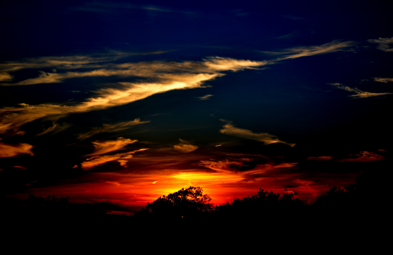 Wallpaper : light, sunset, sky, Sun, tree, nature, colors, silhouette ...