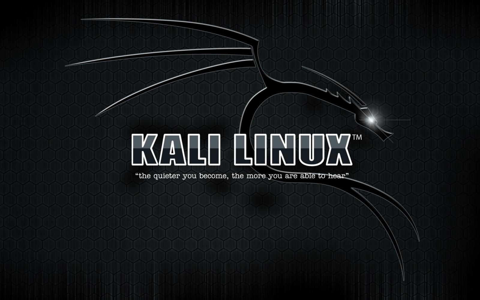 Wallpaper : 1920x1200 px, Kali Linux 1920x1200 - wallbase - 1219791 ...