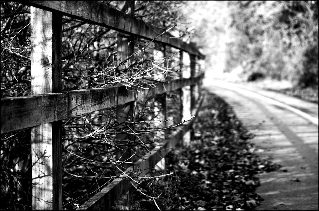 Wallpaper : wood, bw, leaves, Photoshop, fence, Bristol, wooden, path ...