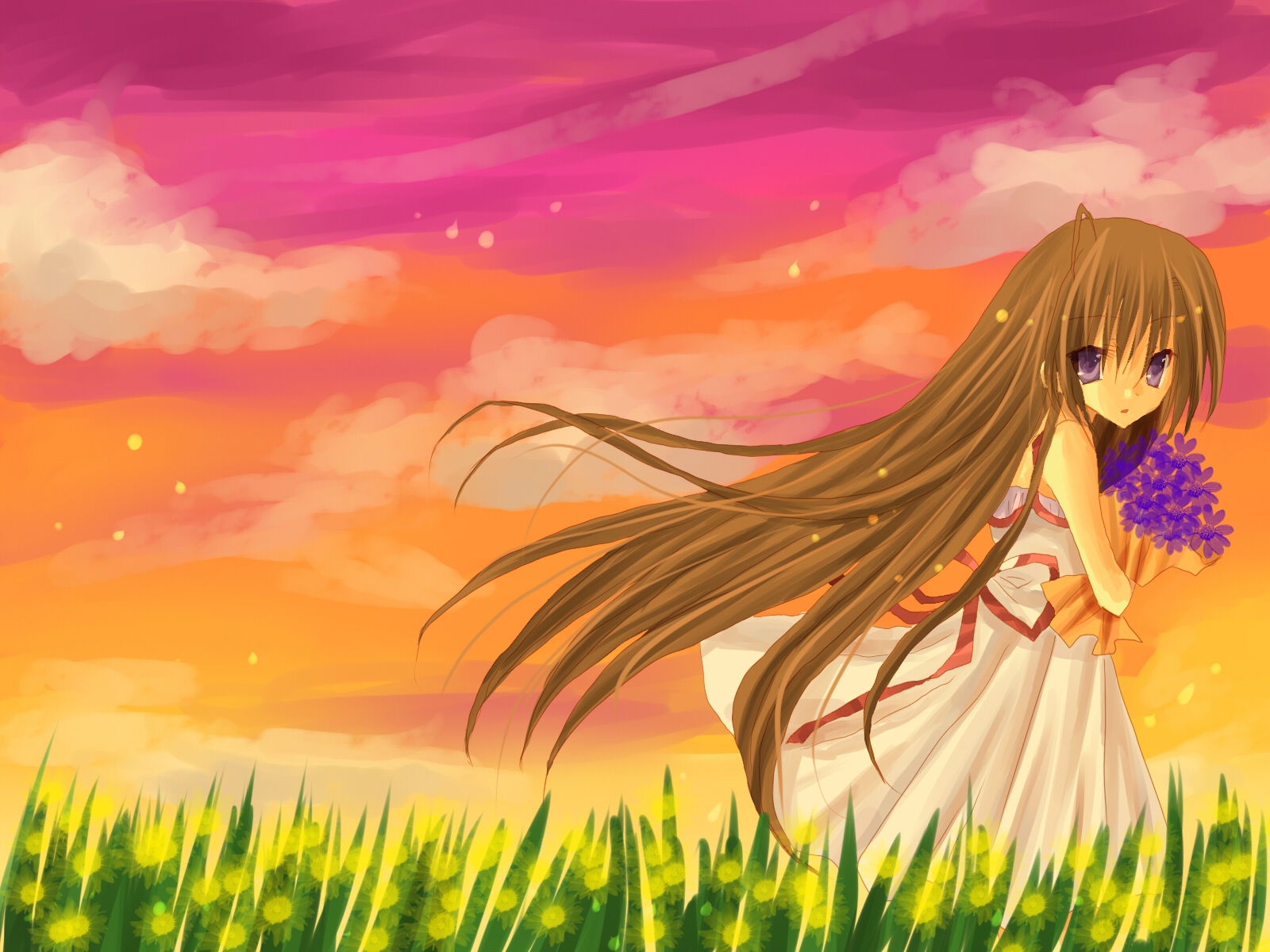 Wallpaper : illustration, sunset, anime, flower, girl, meadow, kaze ...