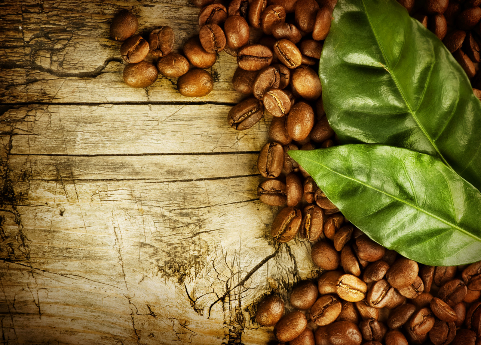 Wallpaper : coffee, grains, leaves, board 3704x2664 - goodfon - 684933 ...