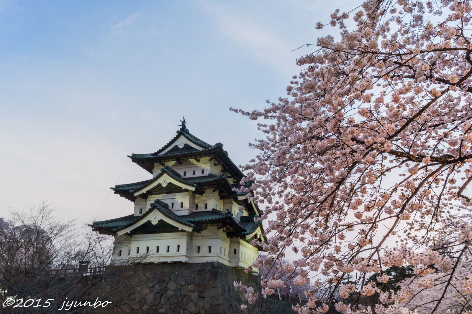 Obrázky na plochu : neba, hrad, Japonsko, pružina, Aomori, Čerešňový ...