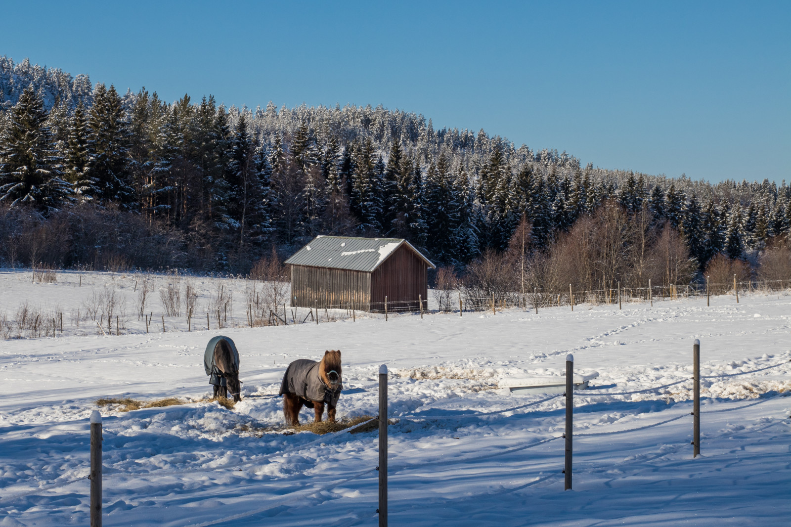 Wallpaper : snow, winter, vehicle, mountain, weather, season ...