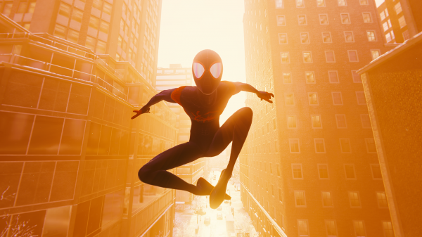 Fond D'écran : Spiderverse, Into The Spiderverse, Miles Morales, Peter 