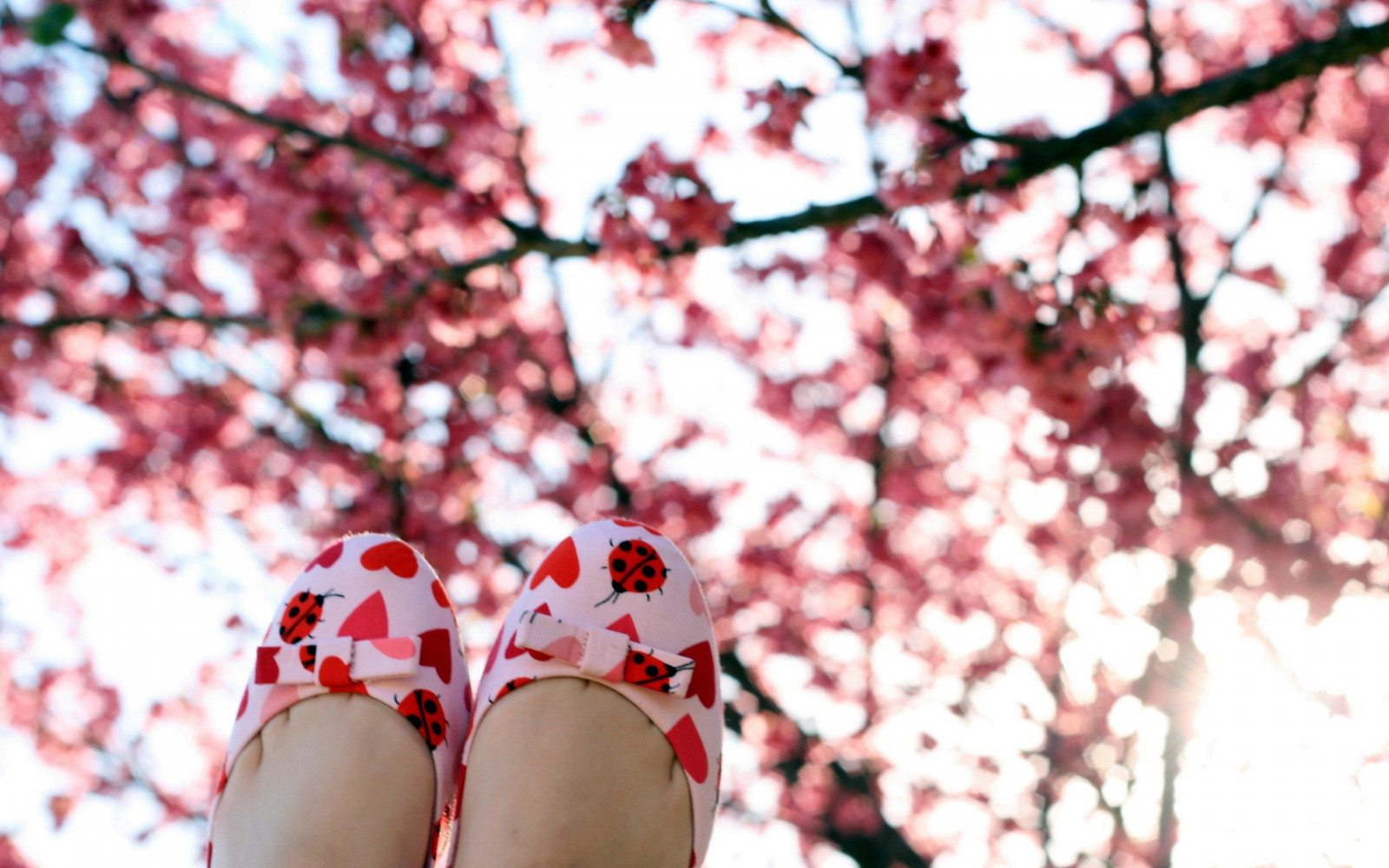 Tapety : 2560x1600 px, Nohy, obuv, stromy 2560x1600 - CoolWallpapers ...