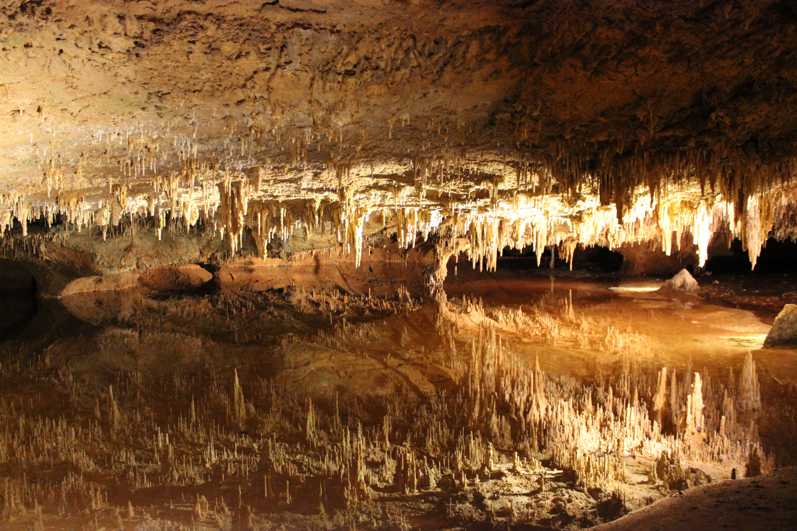 Sfondi : grotta, speleothem, stalattite, stalagmite, Formazione ...