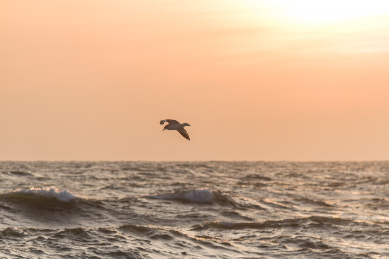 Wallpaper : sunset, sea, water, shore, sand, beach, coast, stormy ...