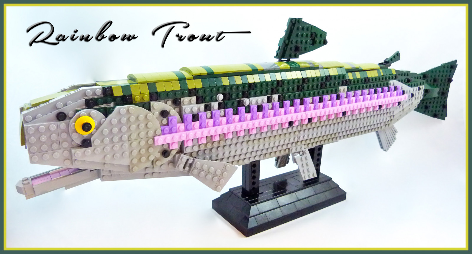 Sfondi : LEGO, arcobaleno, Trota, pesce, pesca, lino, martins, animale ...