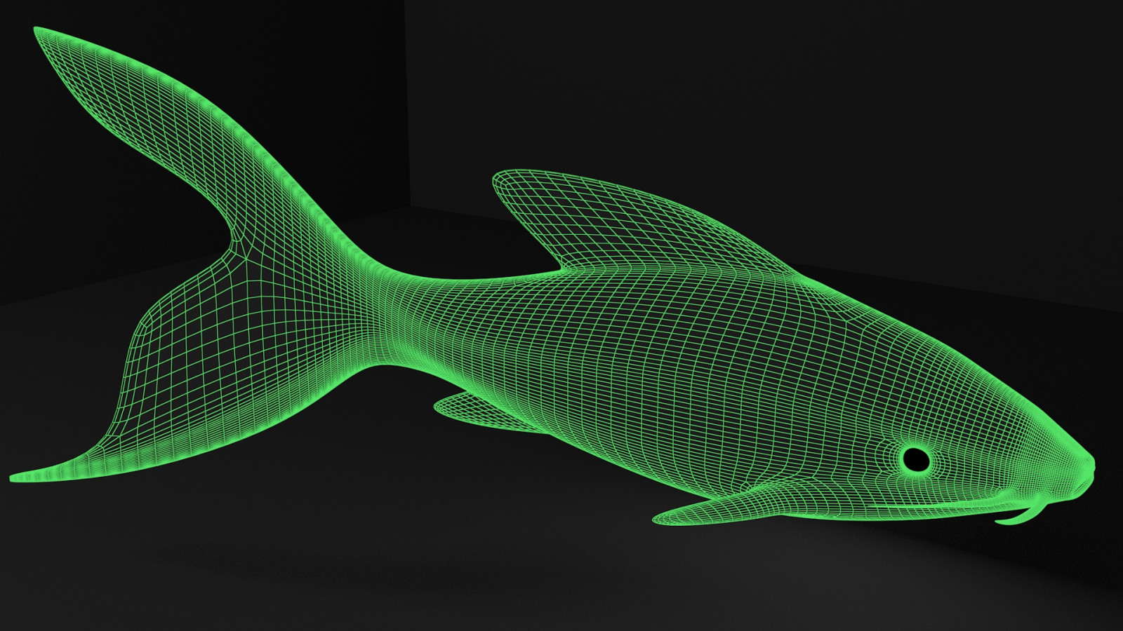 魚 3d _ blender fish – ZJONB