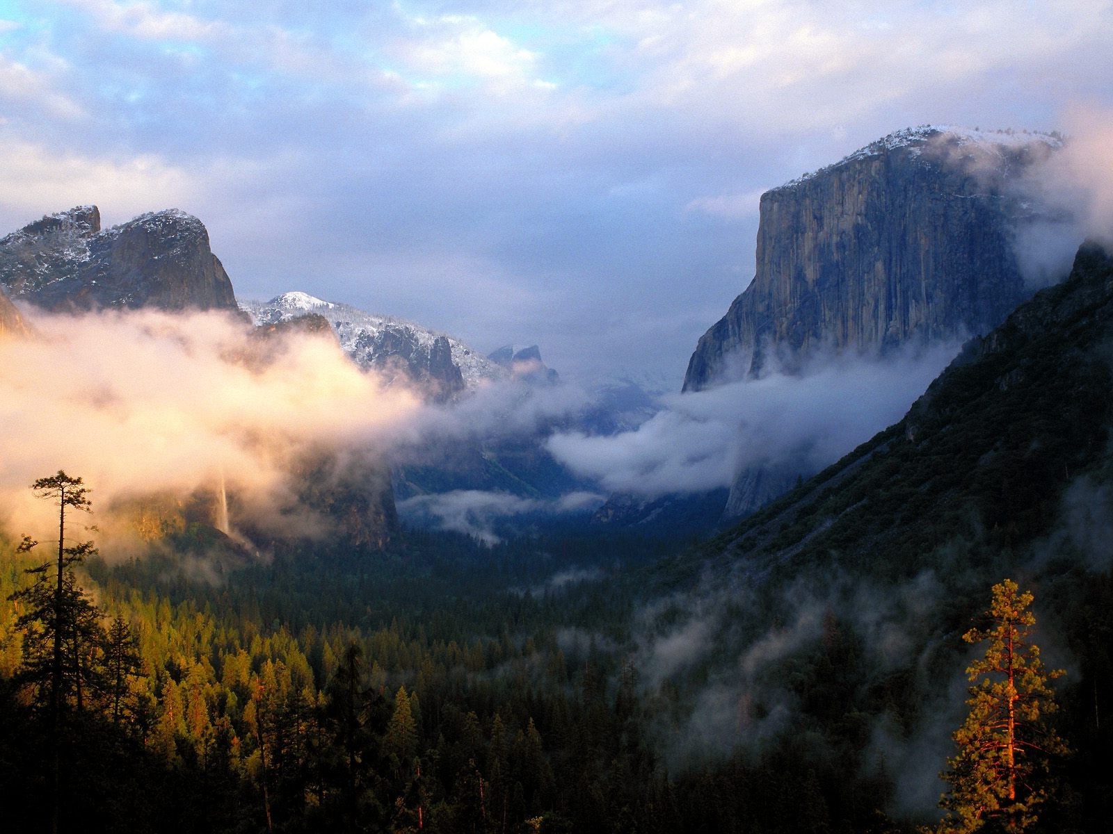 Wallpaper : 1600x1200 px, forest, landscape, nature 1600x1200 ...