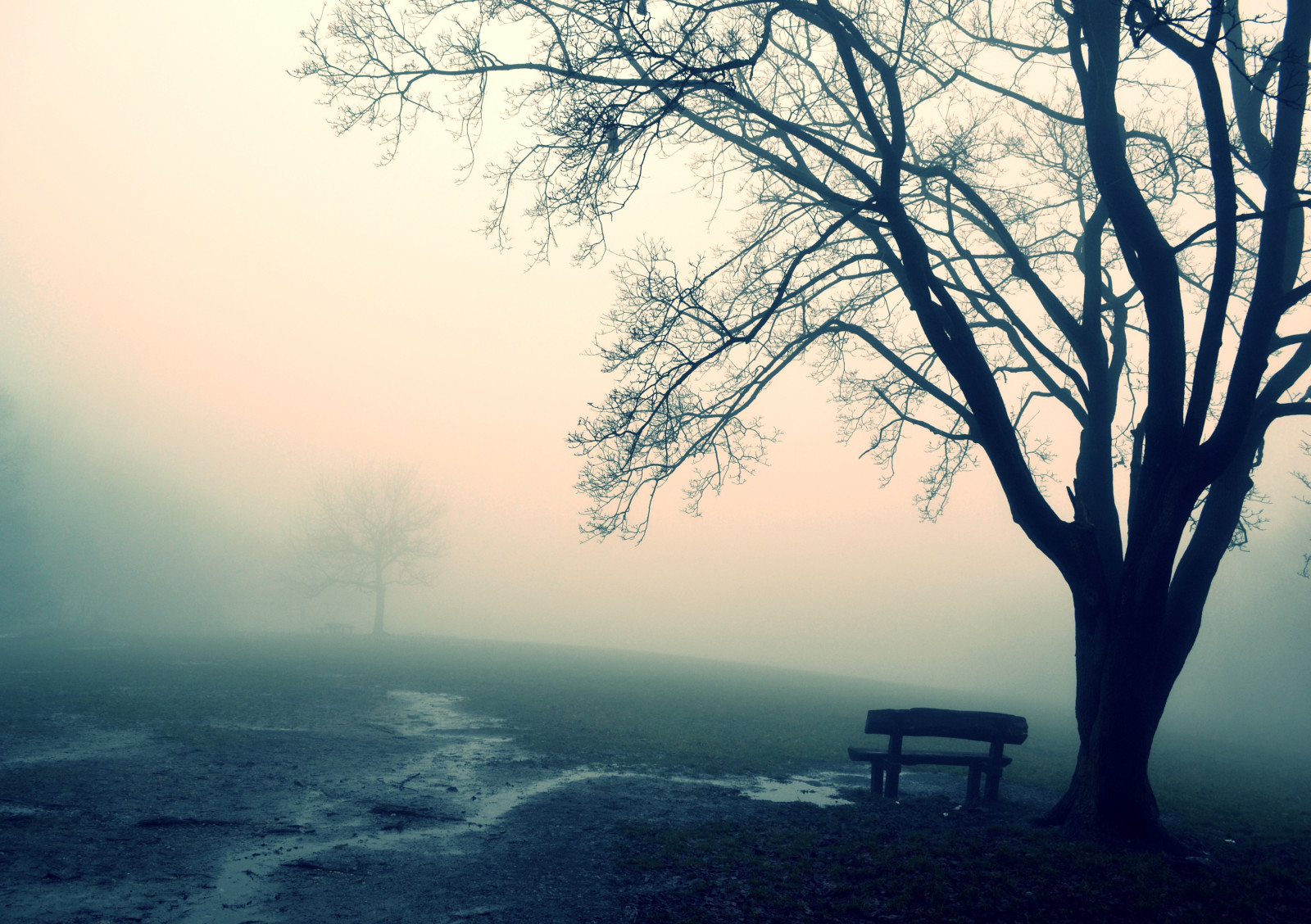 Wallpaper : sunlight, landscape, water, nature, sky, winter, branch ...