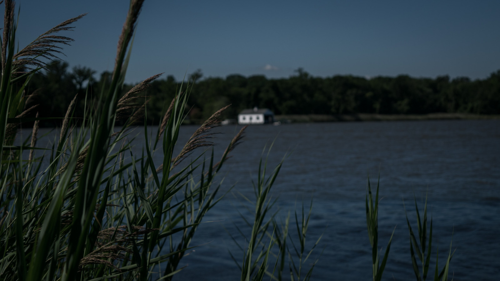 Wallpaper : sunlight, sunset, sea, lake, water, shore, reflection ...