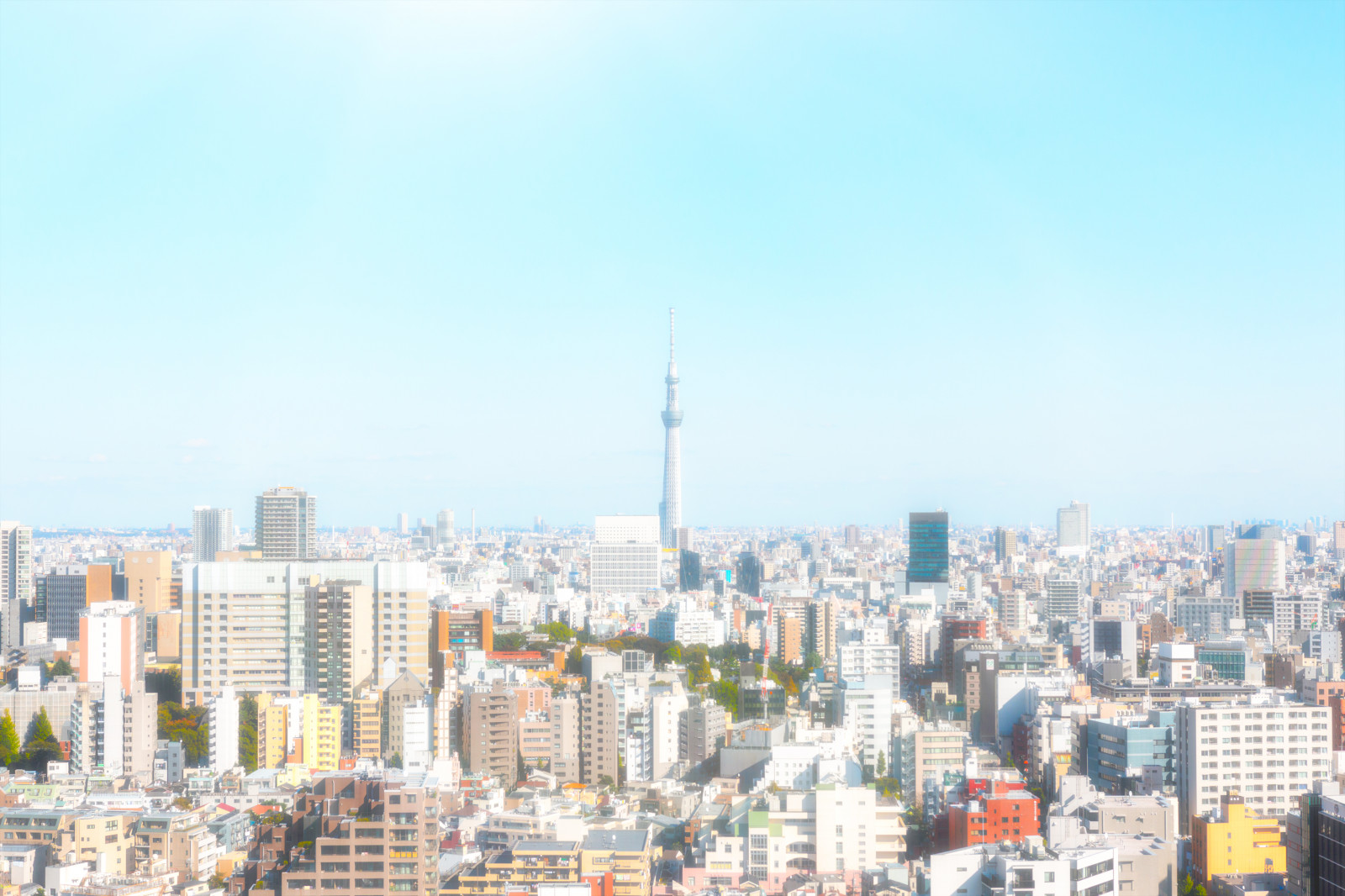 Wallpaper : Tokyo Skytree, animation, tower 3360x2240 - scloud ...