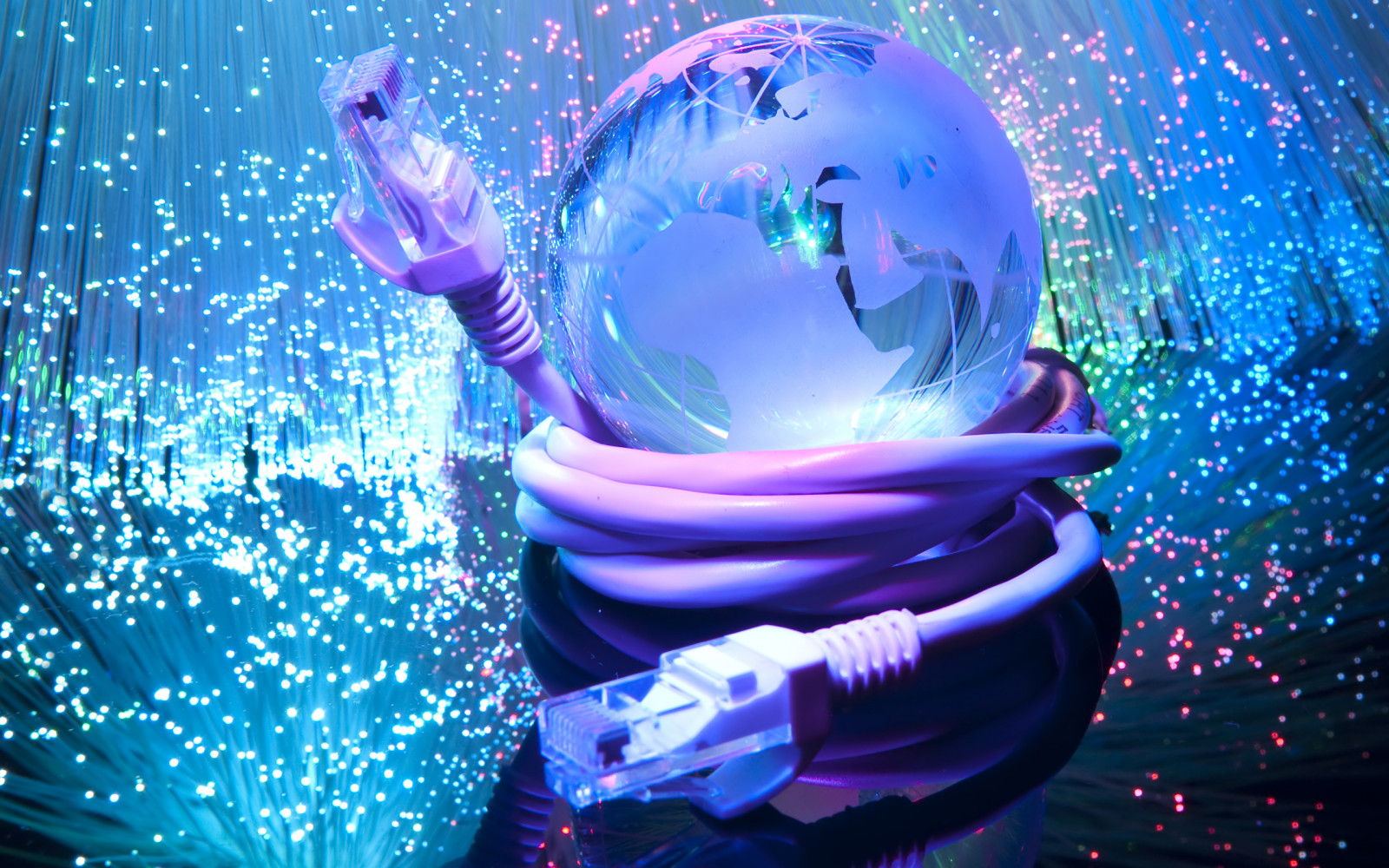 Wallpaper : fiber optic, technology, Network cable 2560x1600 ...