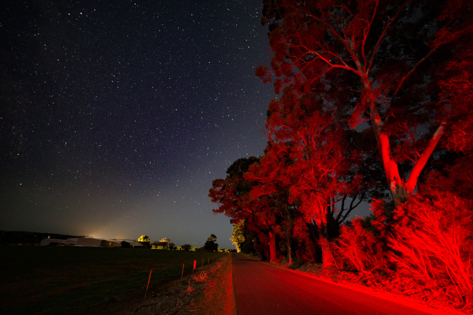 Wallpaper : sky, nature, red, night, tree, woody plant, darkness, light ...