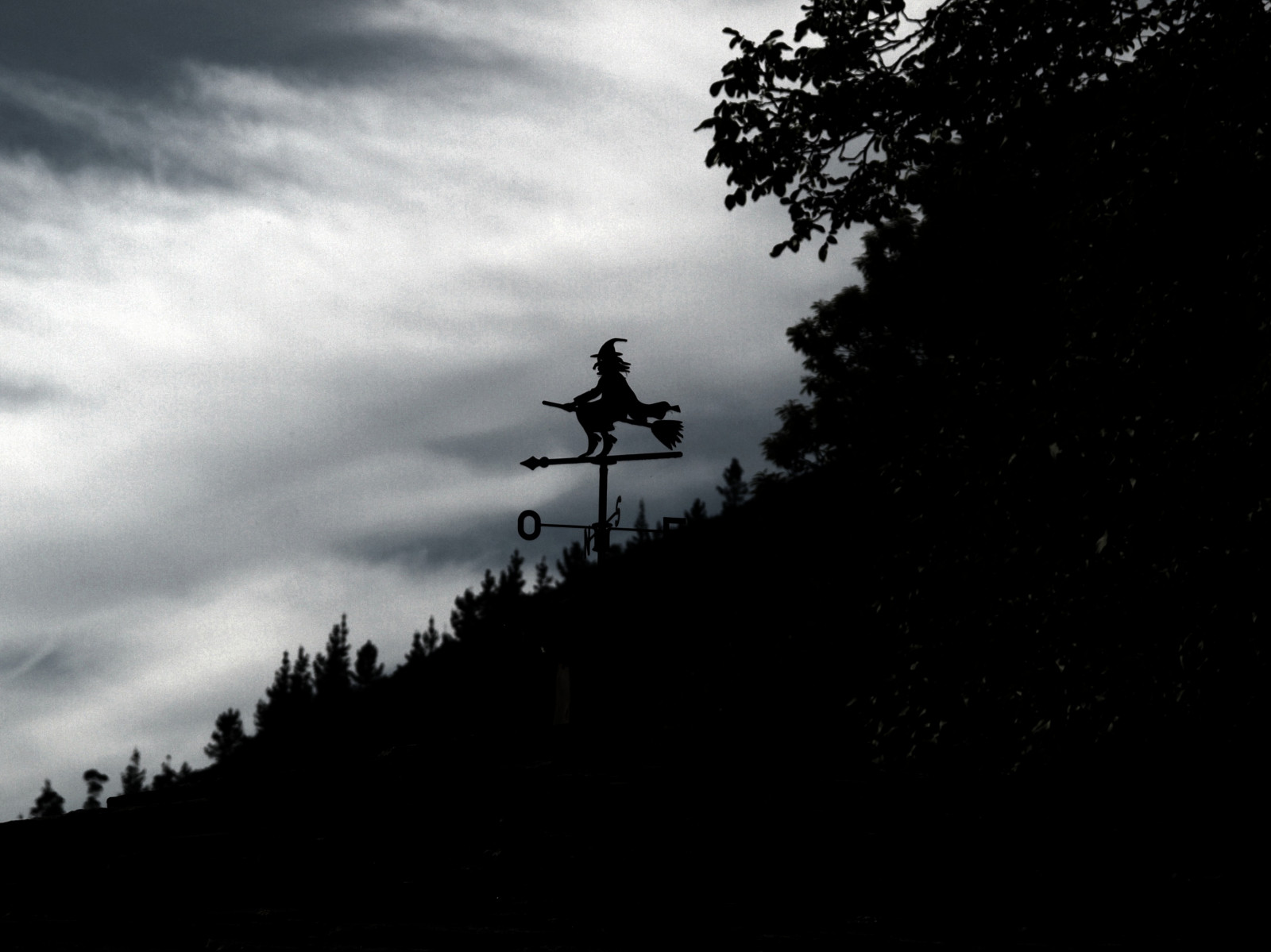 Wallpaper Sky Cloud Tree Black And White Nature Woody Plant