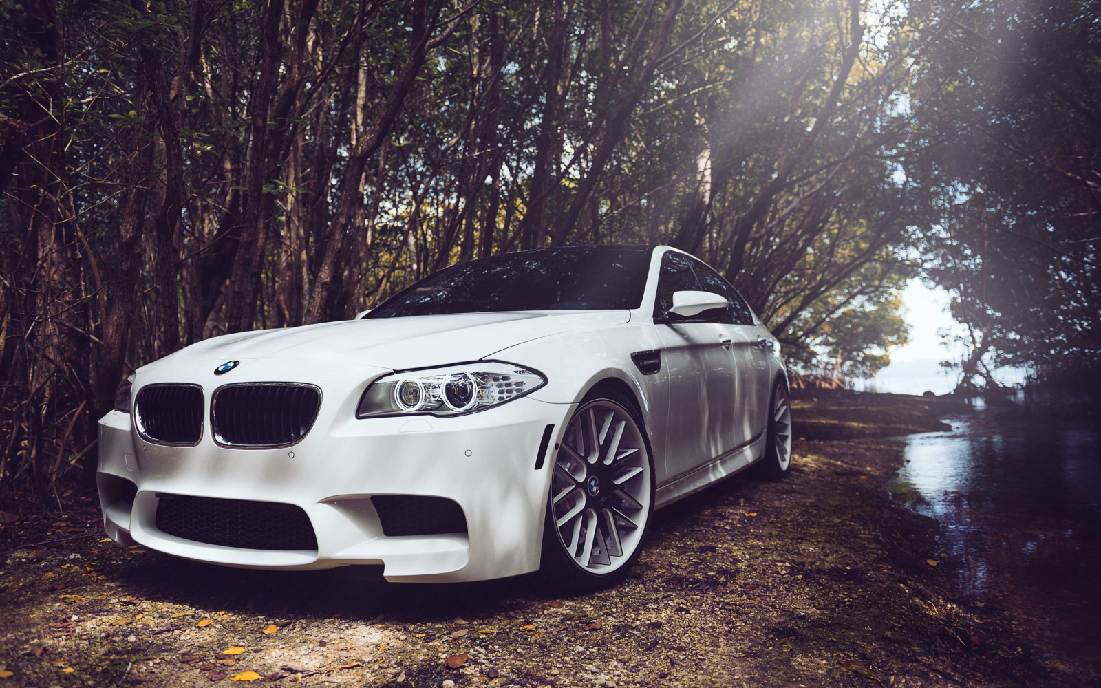 배경 화면 스포츠카 Bmw M5 고성능 차 의자 가마 바퀴 육상 차량 자동차 디자인 자동차 외장 자동차 제조