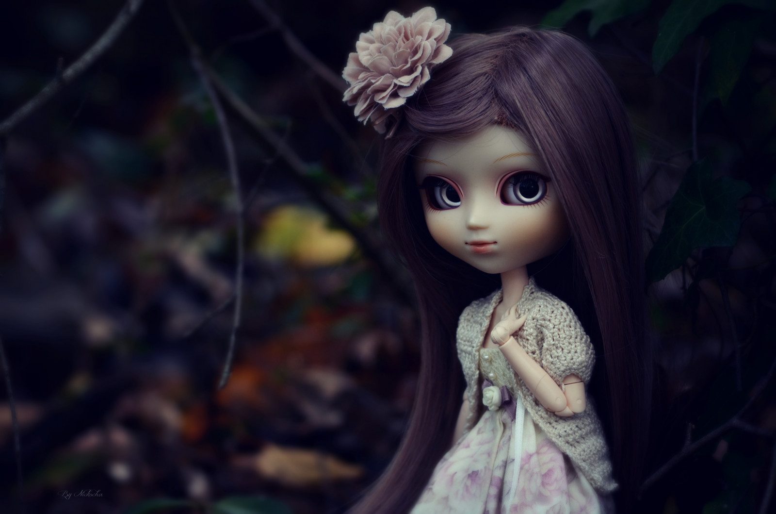 Masaüstü : Dünya, hayvan, gül, Gözler, masum, Oluk, Pullip, Obitsu ...