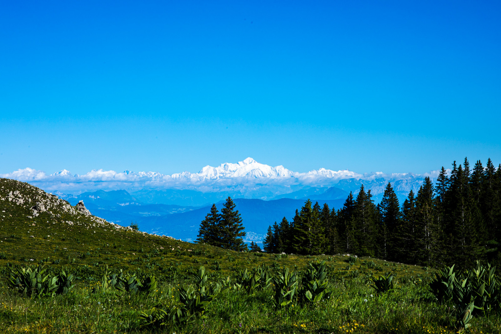 Wallpaper : nature, photography, outdoors, landscape, trees, forest ...