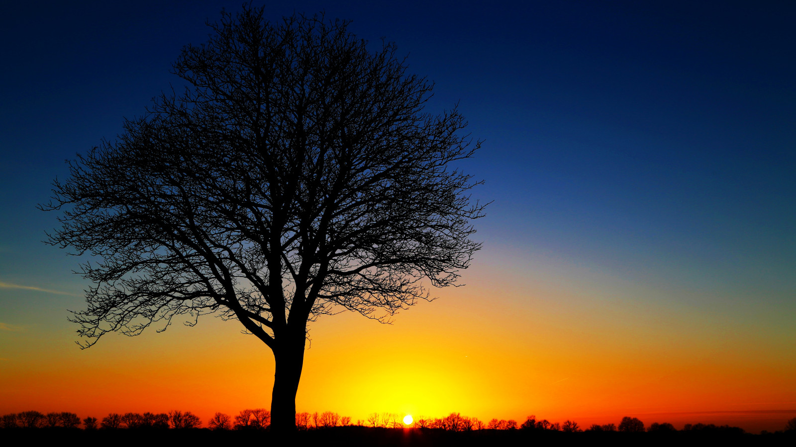 Wallpaper : blue, sunset, sky, plant, tree, Denmark, outdoor, dusk ...